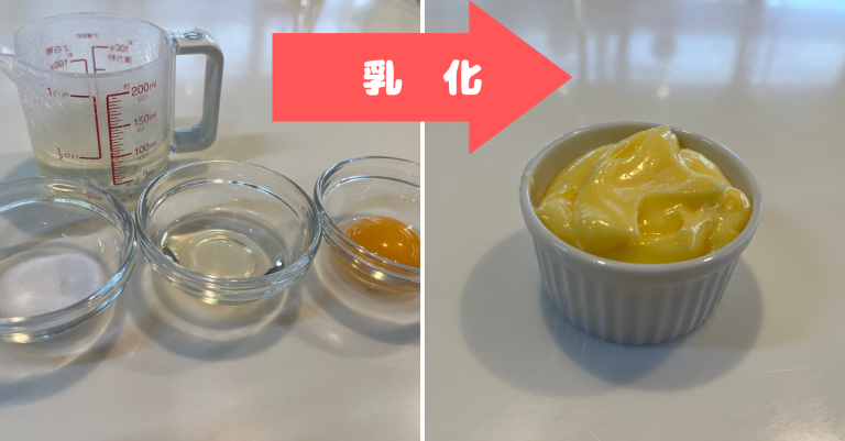 【自由研究】水と油が混ざり合う!?乳化の実験 モアモアショップ